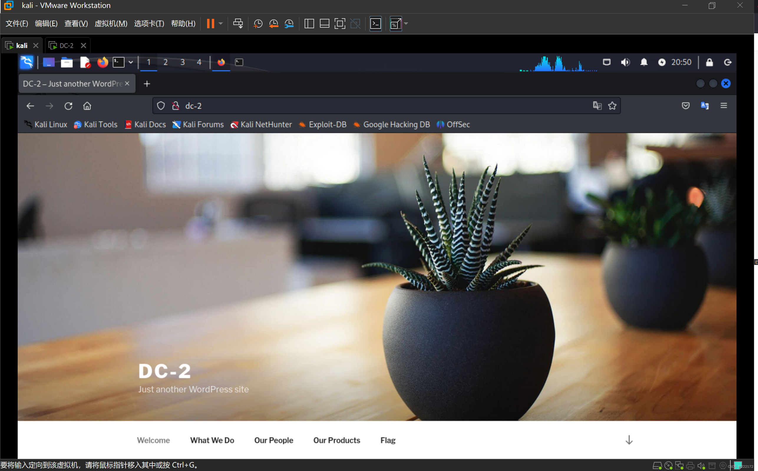 DC-2靶场搭建及渗透_dc2靶场-CSDN博客