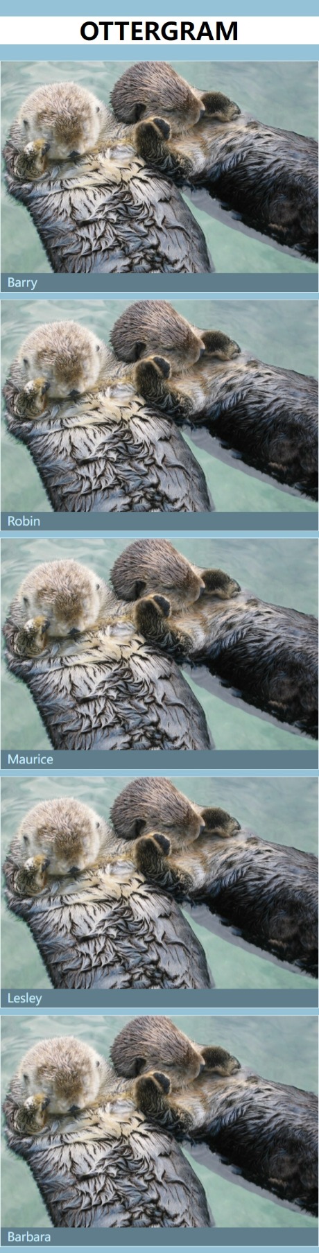 Web开发权威指南笔记（一）_ottergram-CSDN博客