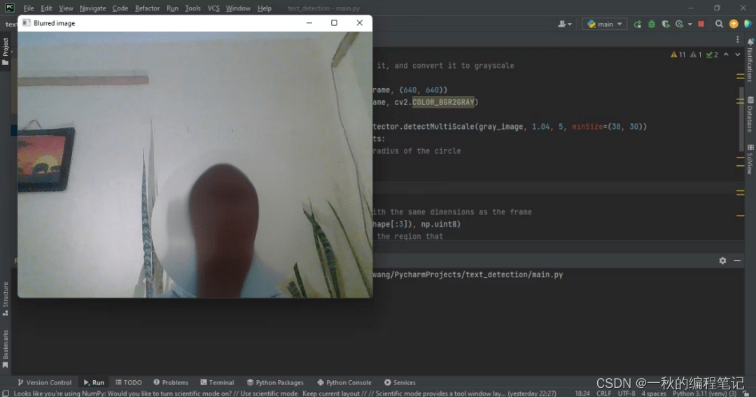 如何使用Python实时模糊人脸_face blur-CSDN博客