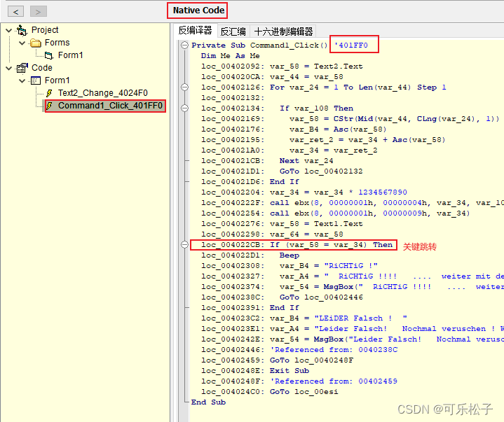 CrackMe009：VB Decompiler第一次登场-CSDN博客