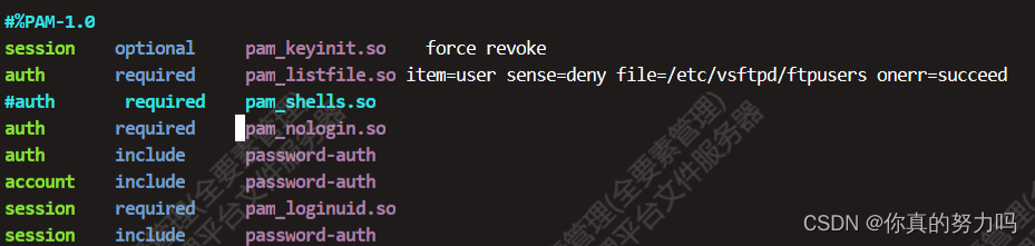 银河麒麟V10搭建vsftpd_l麒麟系统安装vsftpd-CSDN博客