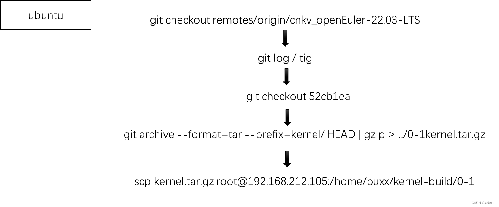 Linux入门——第五周_pinginfoview linux-CSDN博客