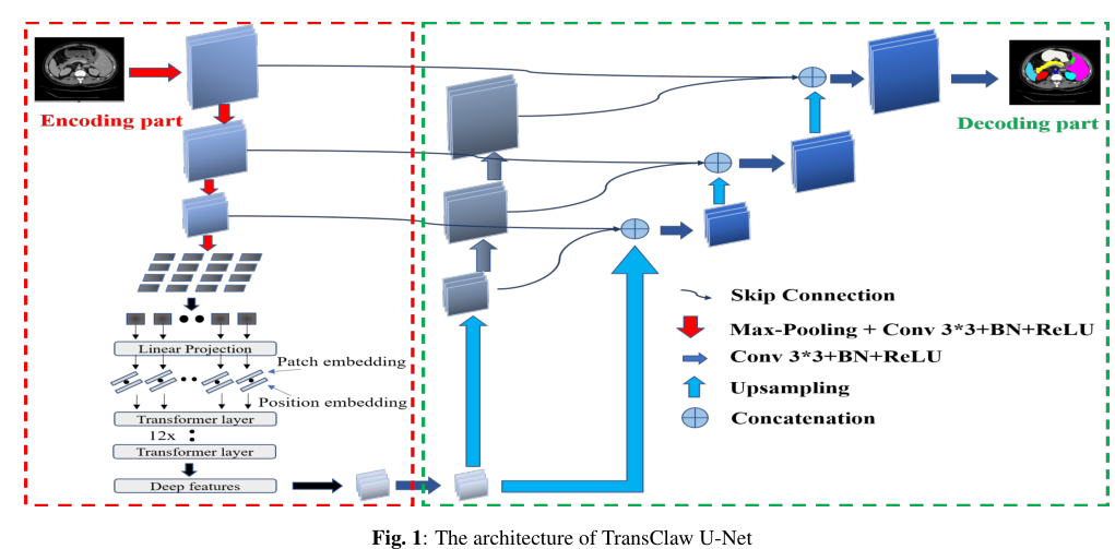 [Transformer]Transclaw U-Net: Claw UNet with Transformers for Medical Image Segmentation-CSDN博客