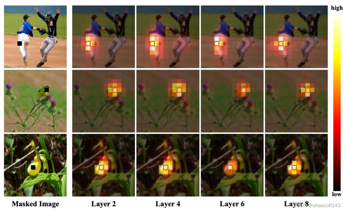 LoMaR_loma level 1 csdn-CSDN博客