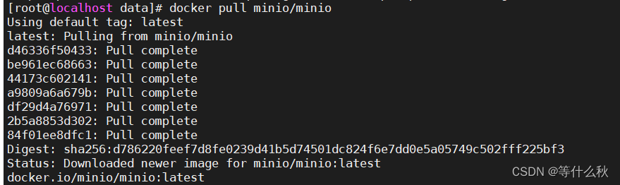 Springboot集成minio Minio 集成springboot Csdn博客