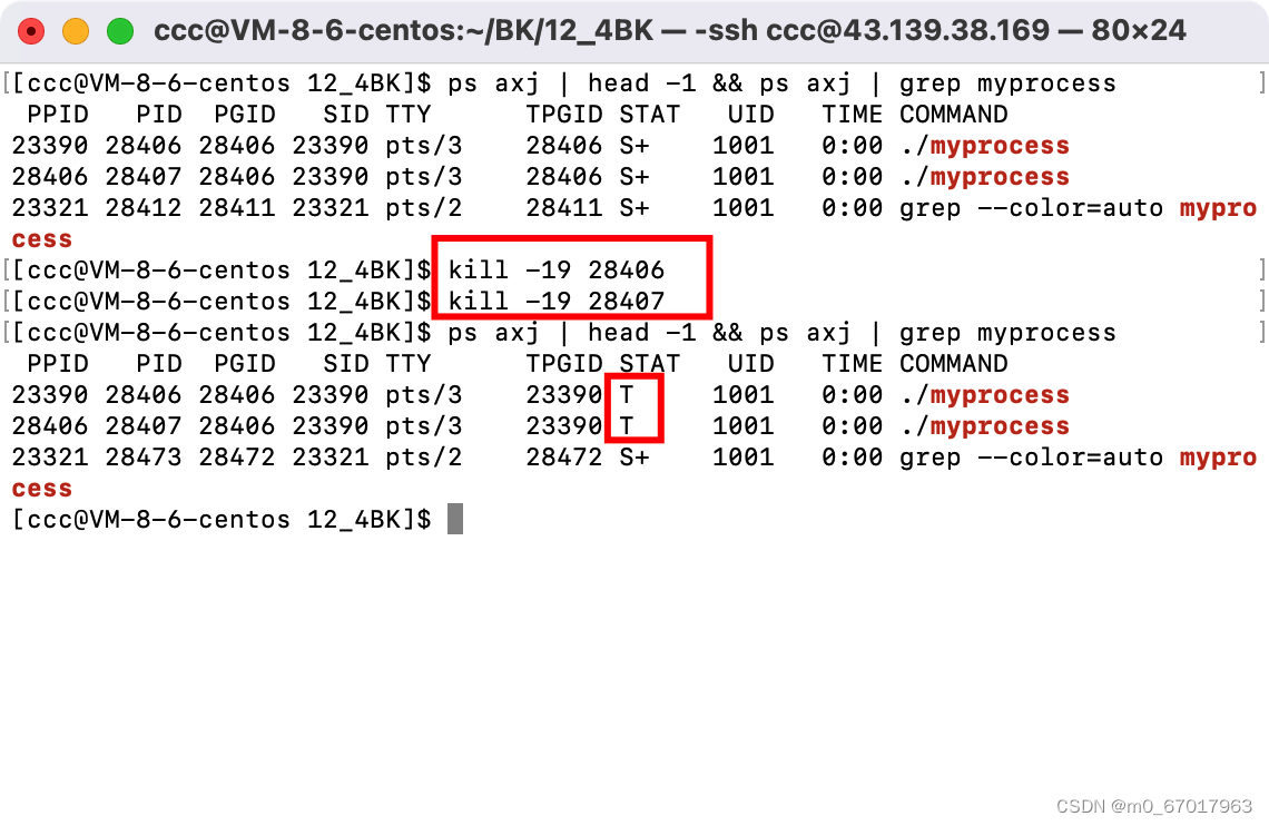 Linux的进程状态_tracing stop_m0_67017963的博客-CSDN博客