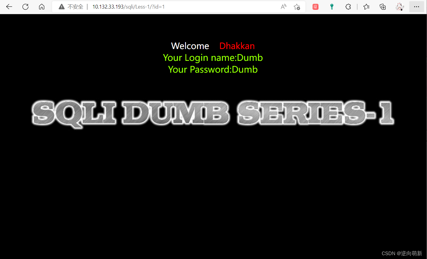 Sqli Labs安装linux，windowssqlilabs安装 Csdn博客 