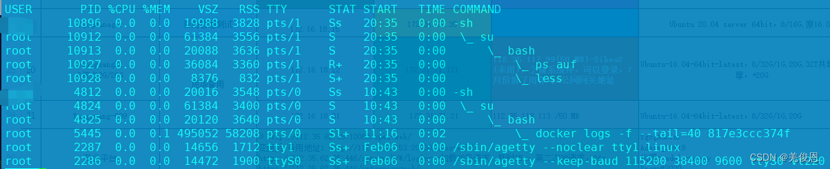 Docker进程异常终止导致的僵尸进程处理思路_docker 休眠进程关闭-CSDN博客