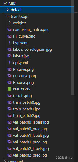 YOLOv5-master舌象分类-CSDN博客