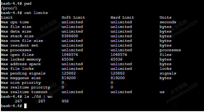 彻底搞懂文件描述符fd_fd 文件记录信息-CSDN博客