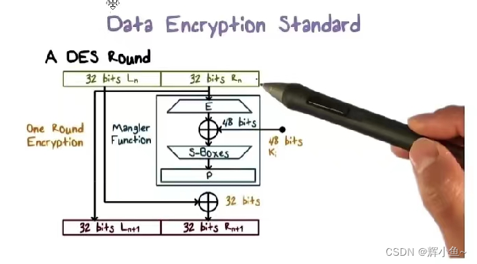 关于 编码解码-CSDN博客