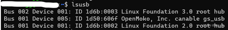 WSL2使用USB转CAN（canable），2023-05_usbip-bzimage-CSDN博客