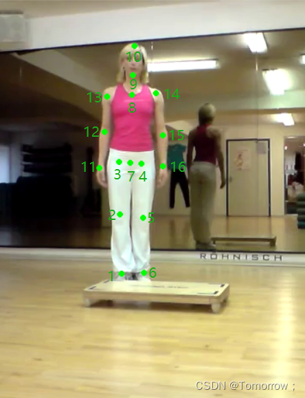 mpii数据集 keypoints关键点与关节点对应顺序_mpii数据集 16个关键点-CSDN博客