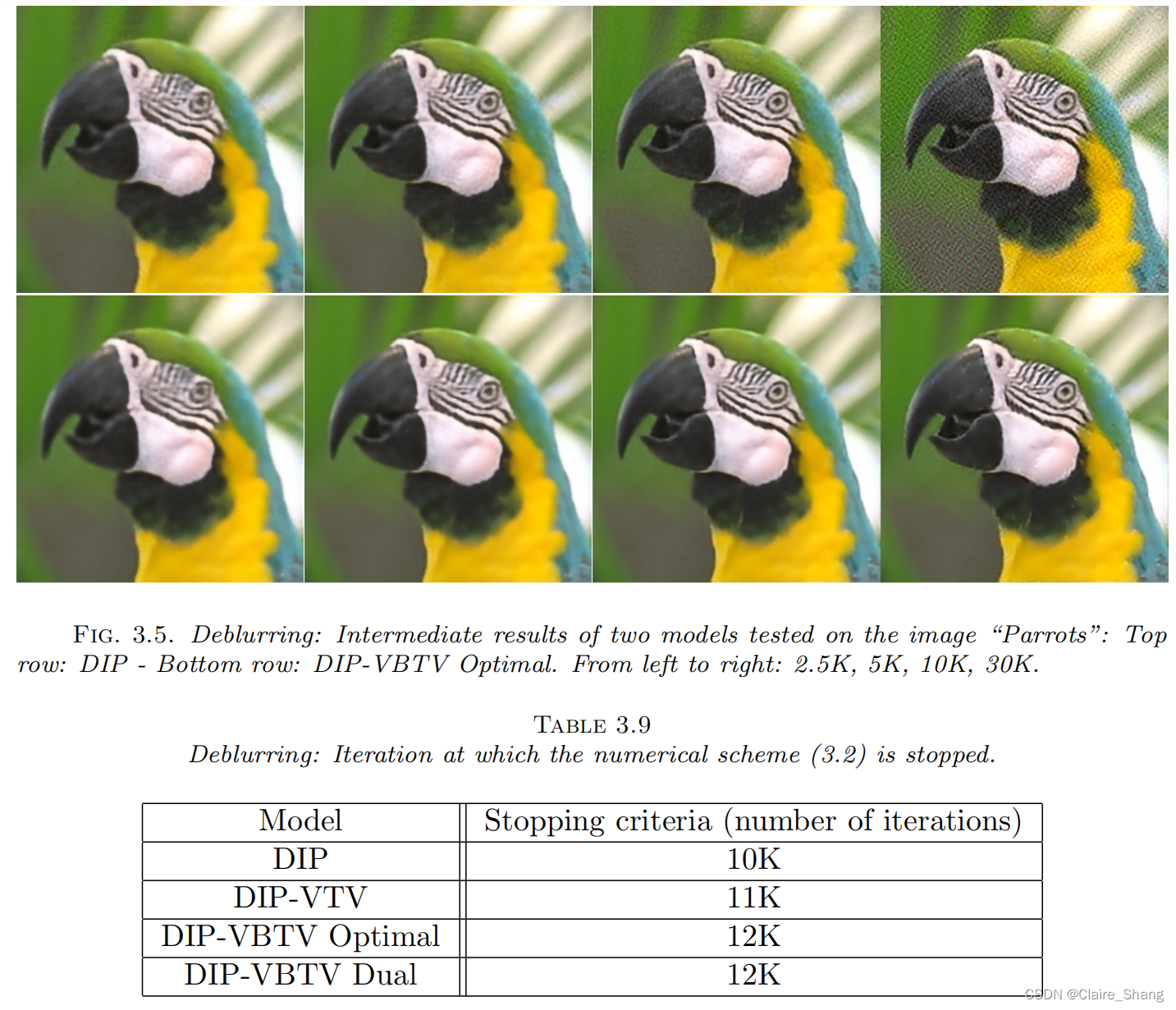 DIP-VBTV: Color Image Restoration Model Combining Deep Image Prior and Vector Bundle Total ...