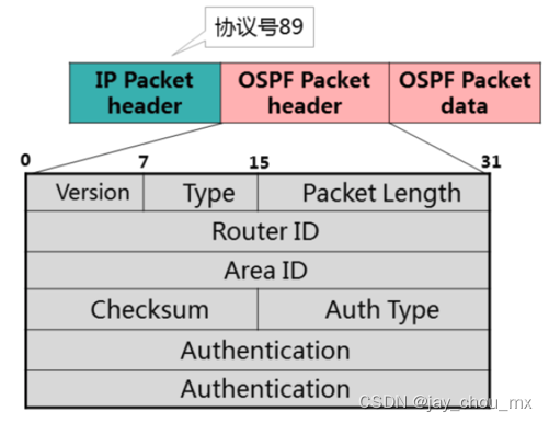 OSPF协议基础_ospf spt-CSDN博客