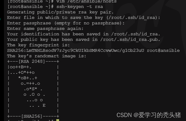 自动化运维工具Ansible----------2配置ansible管理两个节点_ansible配置节点网卡绑定-CSDN博客