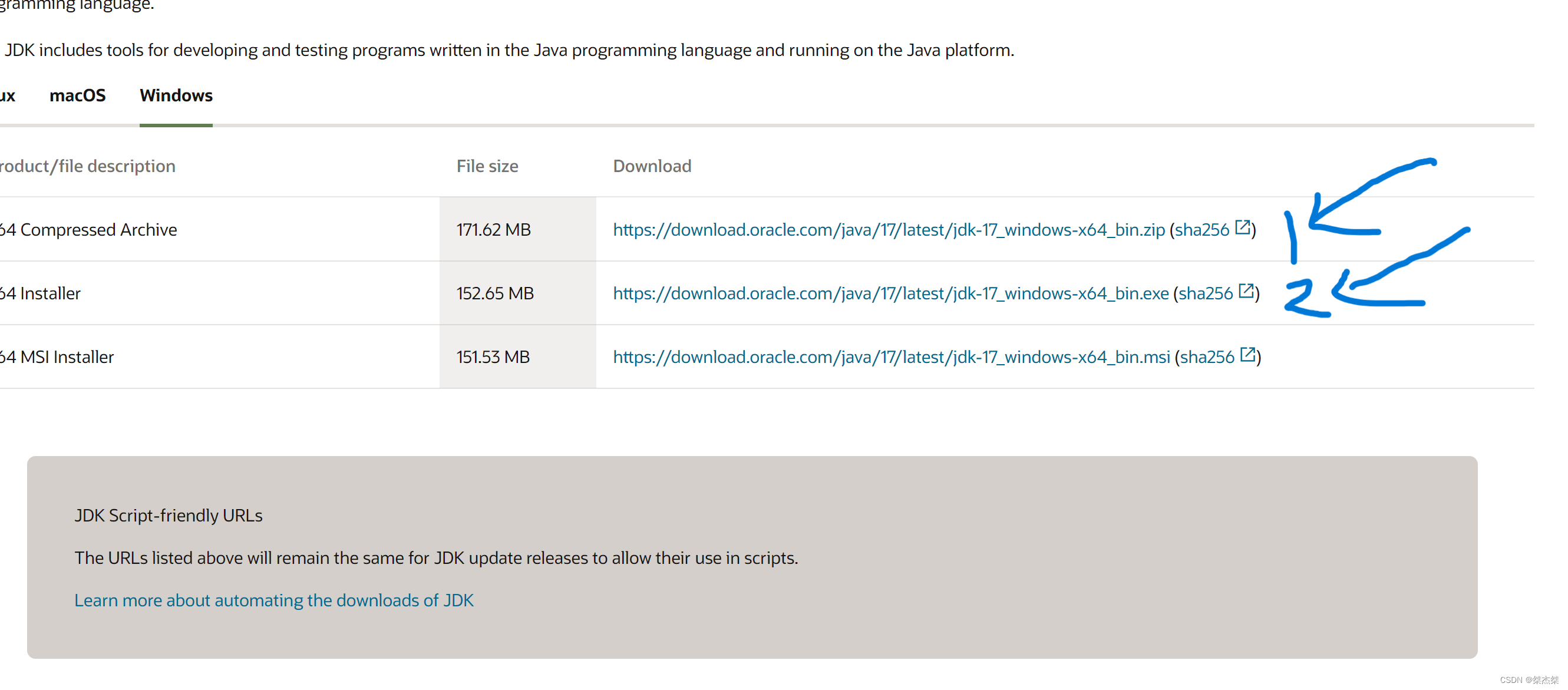 在win11系统下安装，配置Java17_windows11能接受jdk17嘛-CSDN博客