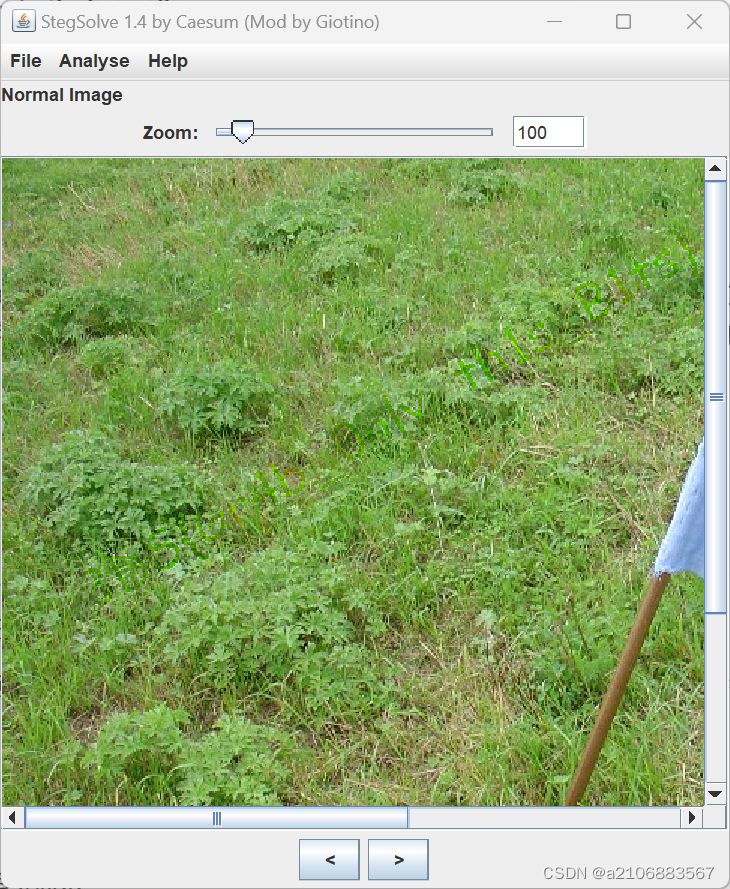 Ctf 图片隐写ctf图片隐藏flag密码 Csdn博客