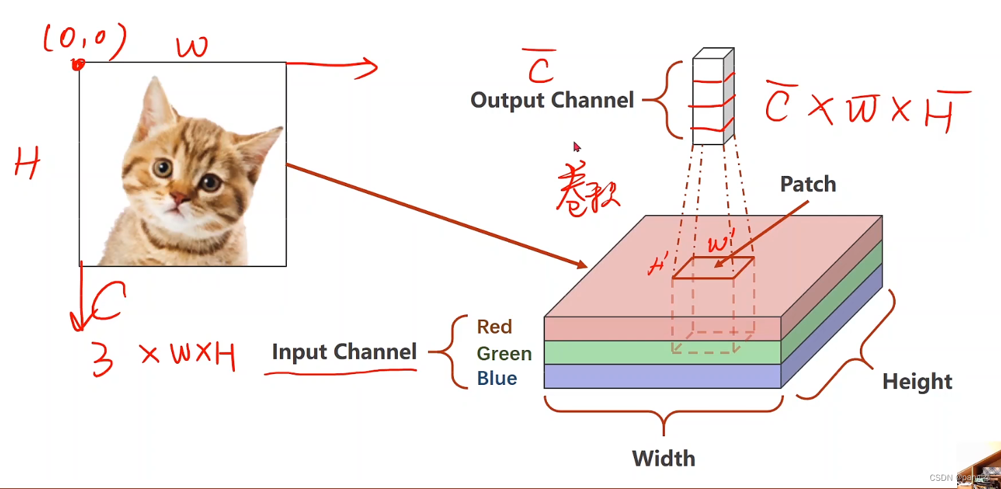 Pytorch 深度学习实践 第10讲 卷积神经网络(基础篇)全连接层linear输出转换为概率 Csdn博客