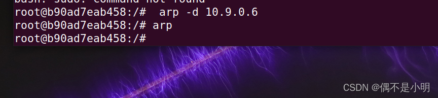 【SEED Lab】ARP Cache Poisoning Attack Lab-CSDN博客