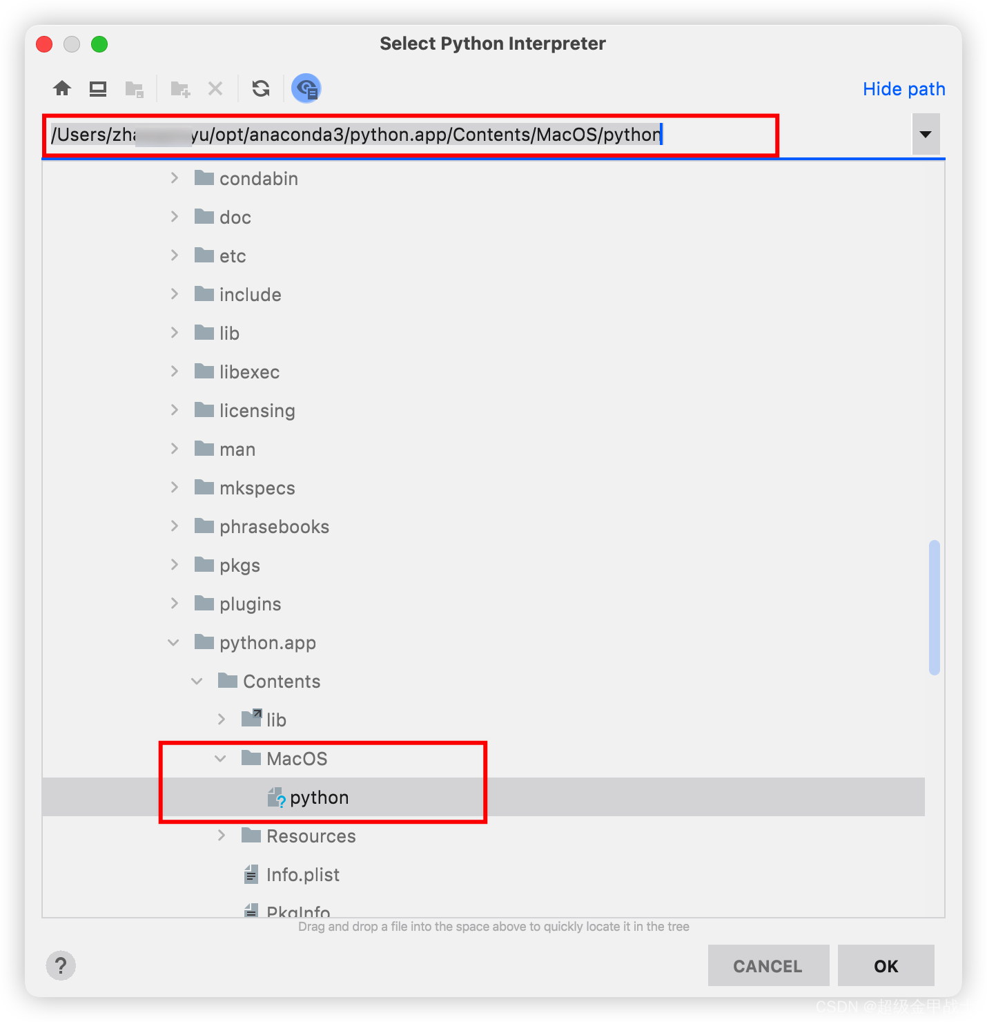 MacOS Pycharm 配置 anaconda 环境_mac上面的pycharm如何给当前项目切换conda的环境-CSDN博客