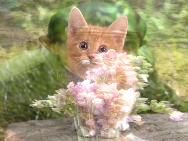 关于cv2.addWeighted（）函数《python图像处理篇》-CSDN博客