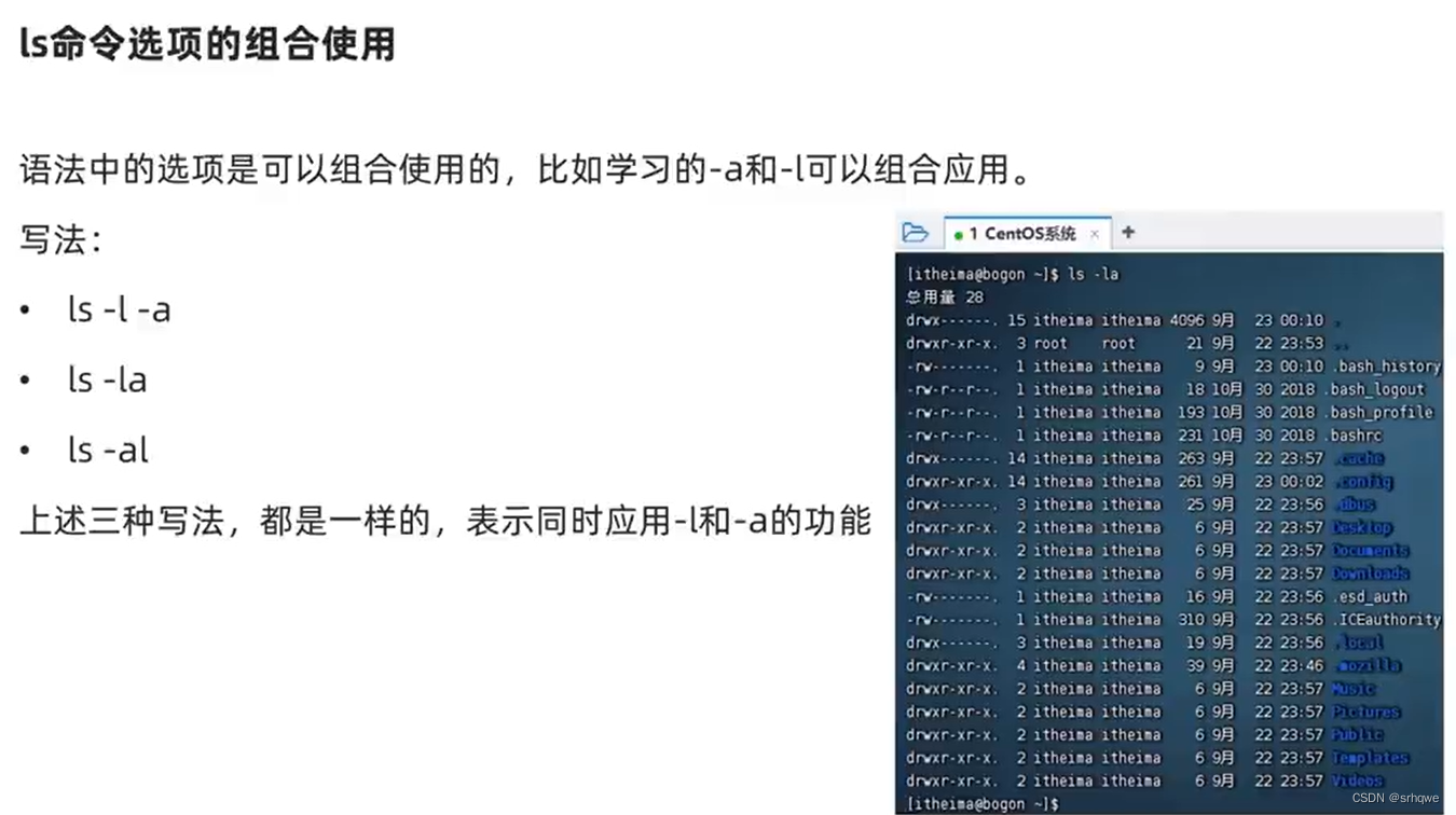 Linux命令ls列出目录内的文件和目录详解用is命令列出此目录下的文件和目录 Csdn博客