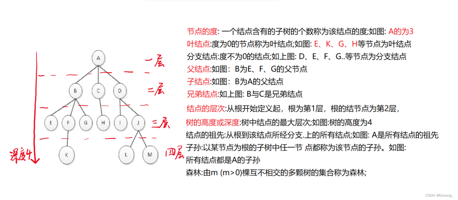 【数据结构(一)】用c语言实现(双向、带头、循环)链表、栈、队列、递归、二叉树等基本数据结构数据结构双向栈c语言 Csdn博客