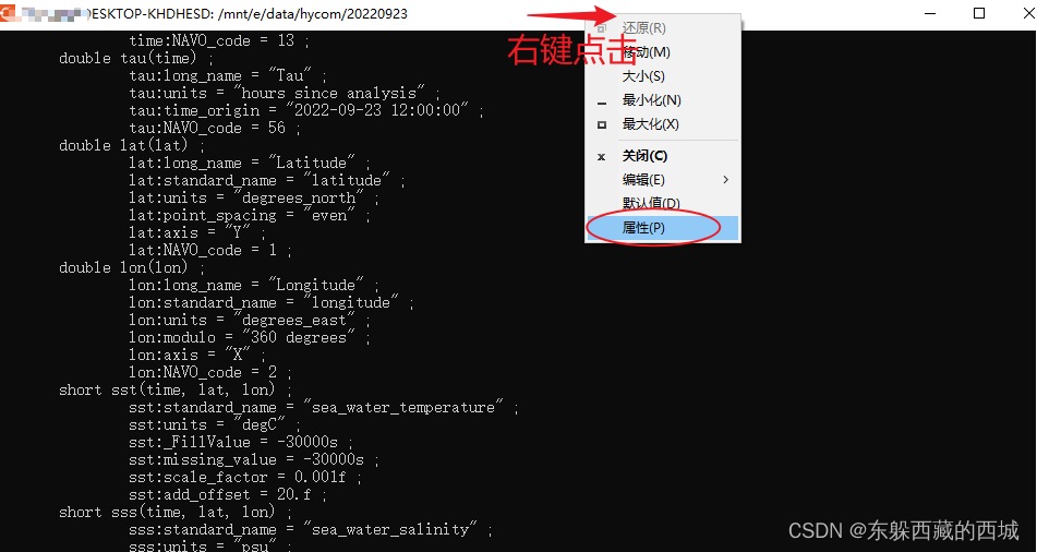 Windows下的wsl Ubuntu 使用复制粘贴 Wsl怎么复制粘贴 Csdn博客