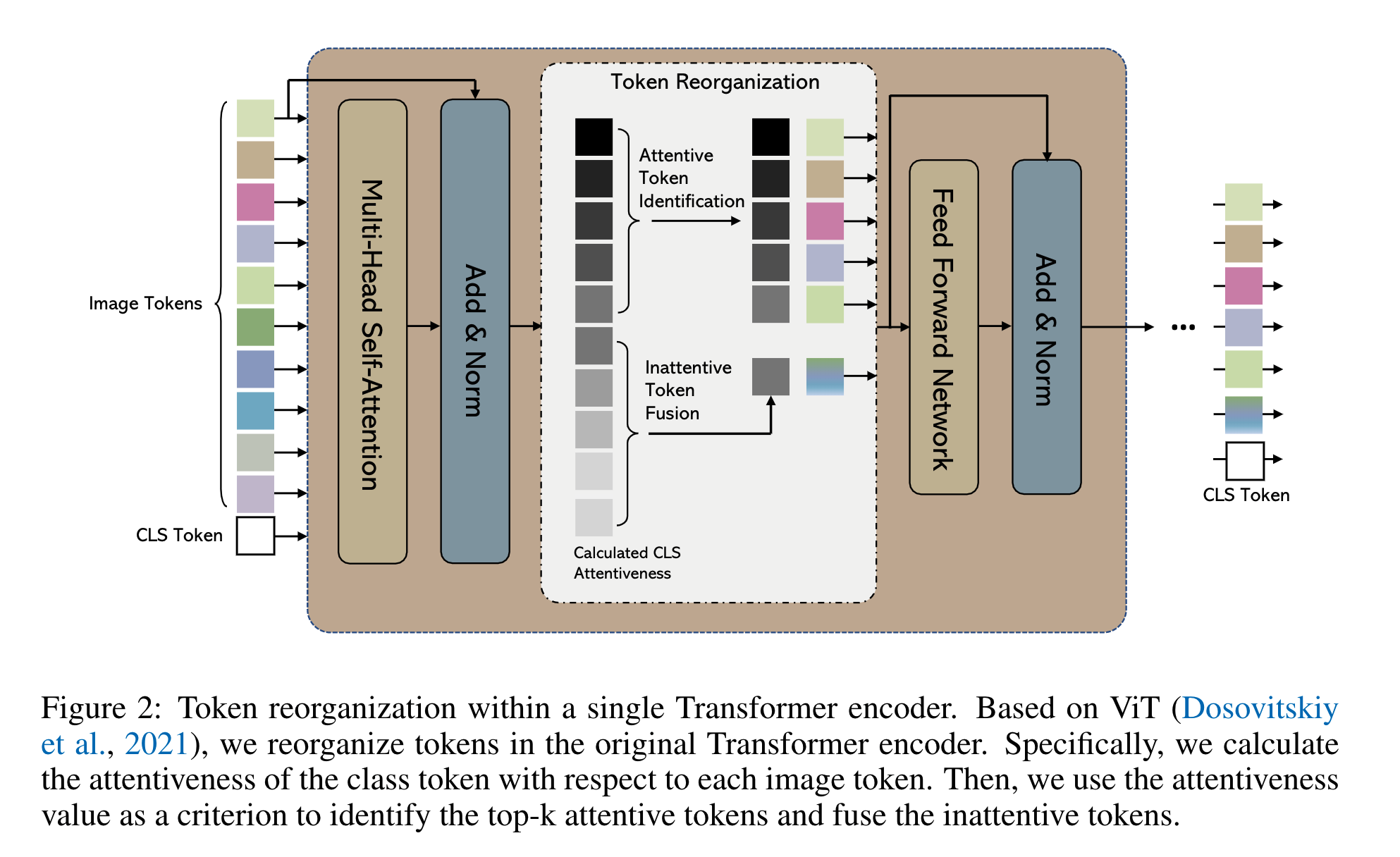 【ViT论文】Not All Patches are What You Need: Expediting Vision Transformers via Token ...