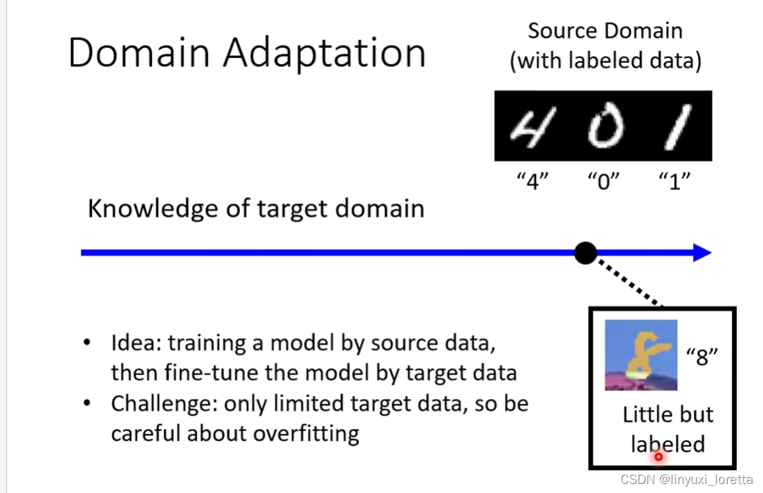 2021 Domain Adaptation（李宏毅_domain adaption under target and conditional shift_linyuxi_loretta的博客 ...