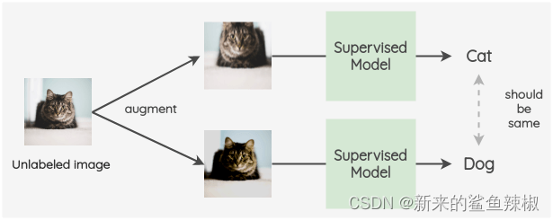Semi-Supervised Learning半监督学习_openmatch: open-set consistency ...