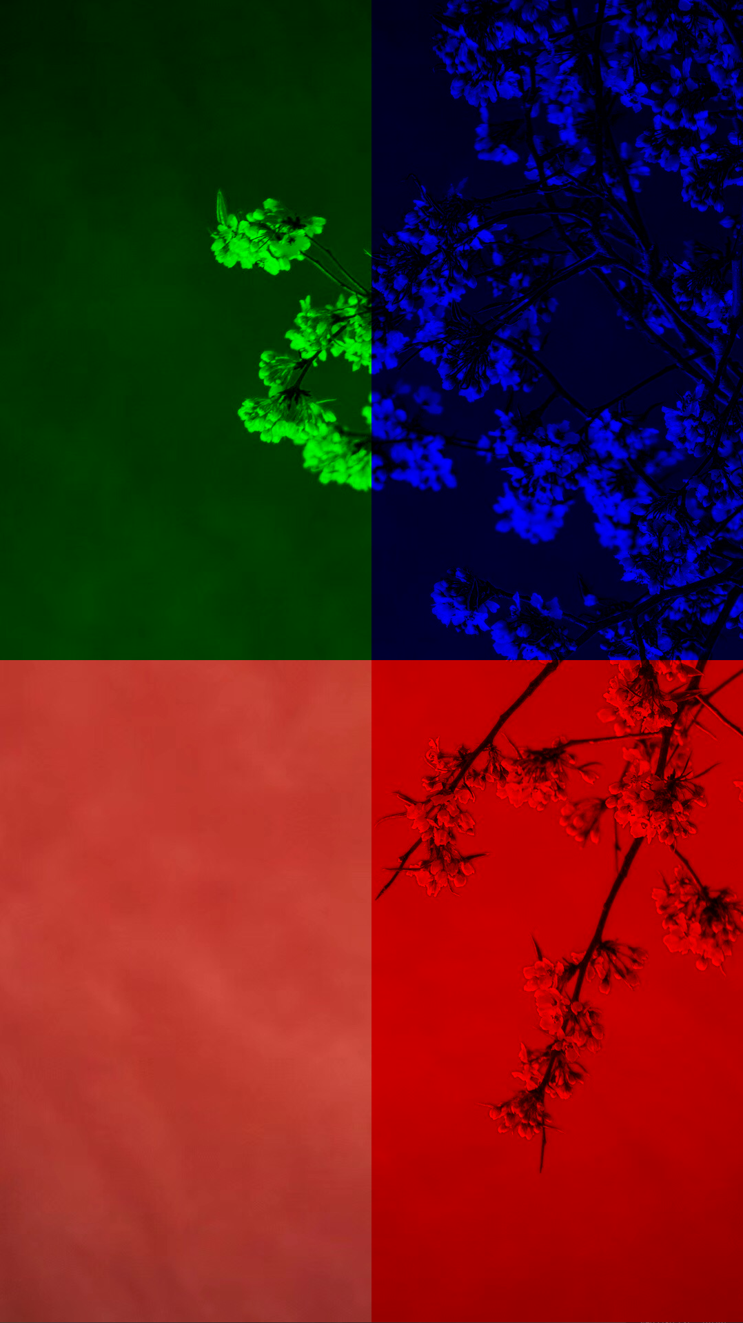 OpenGL的多重渲染目标（Multiple Render Targets）技术（Qt下实现）-CSDN博客