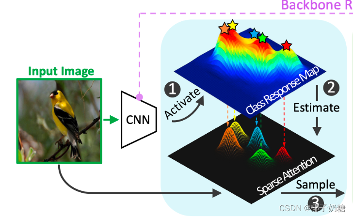 Selective Sparse Sampling for Fine-grained Image Recognition-CSDN博客