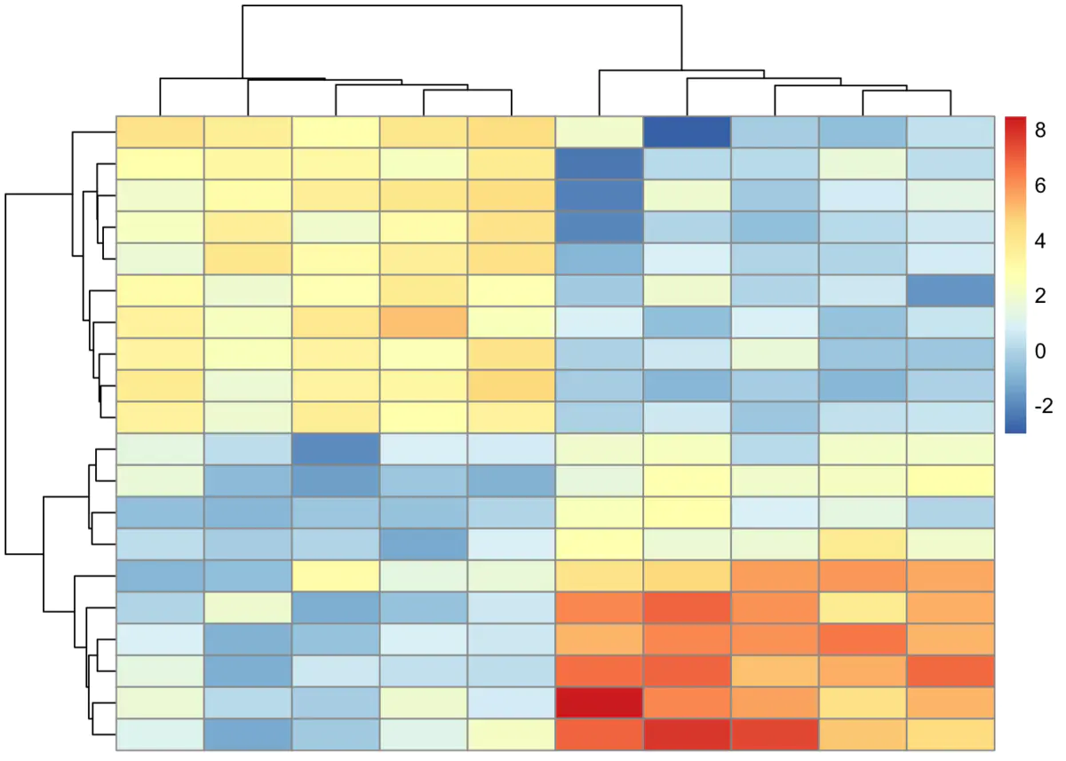 pheatmap 参数整理_pheatmap 参数详解-CSDN博客
