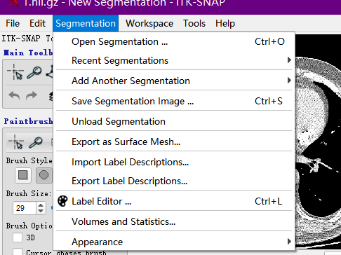 ITK-Snap 处理医疗影像-CSDN博客