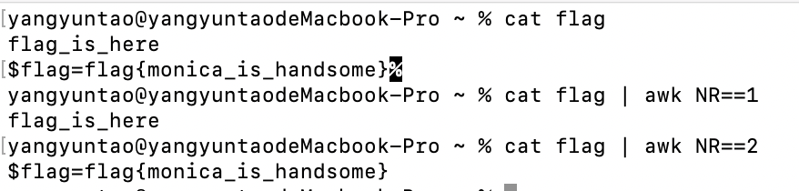 CTFSHOW-PHP特性_payload bool(true)-CSDN博客