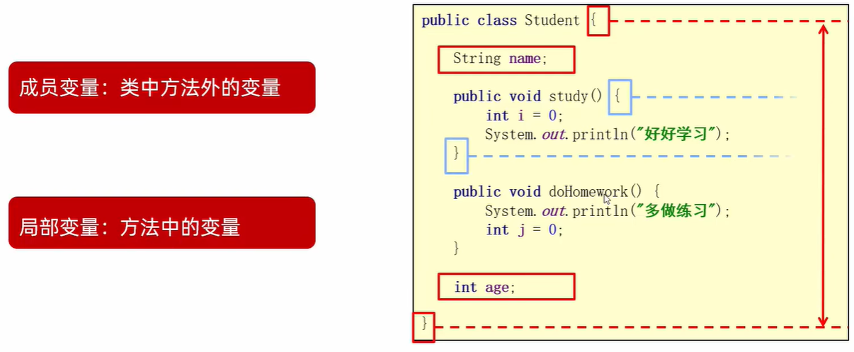 9.java 成员变量和局部变量-CSDN博客