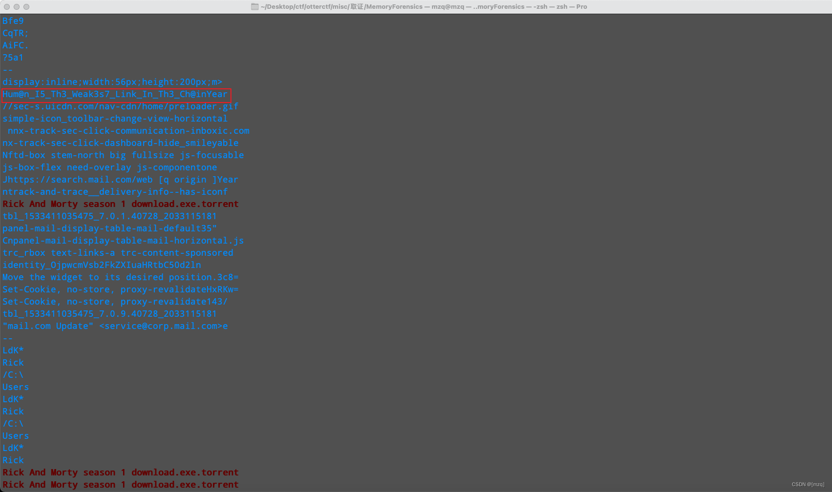 Memory Forensics (内存取证)_内存取证memfs-CSDN博客