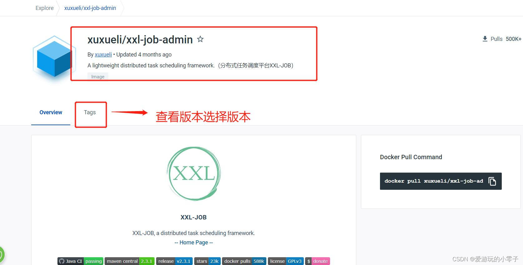 什么是xxl-job（3）之docker安装_docker安装xxl-job-CSDN博客