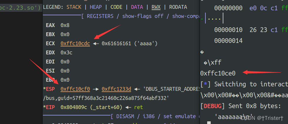 buu pwnable_start 详解-CSDN博客