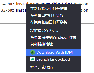 关于IDM插件报错_idm error-CSDN博客