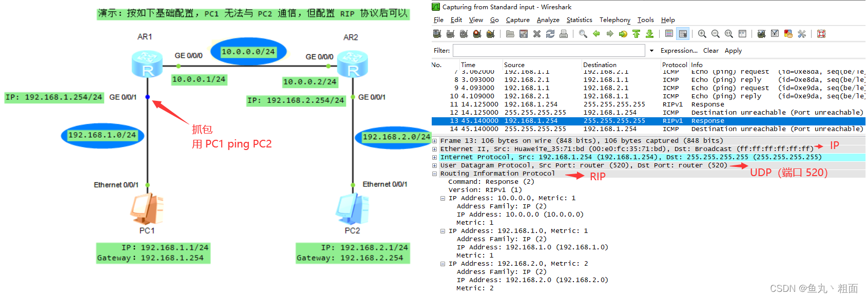 RIP：Routing Information Protocol，路由信息协议_rip协议的request报文是广播还是-CSDN博客
