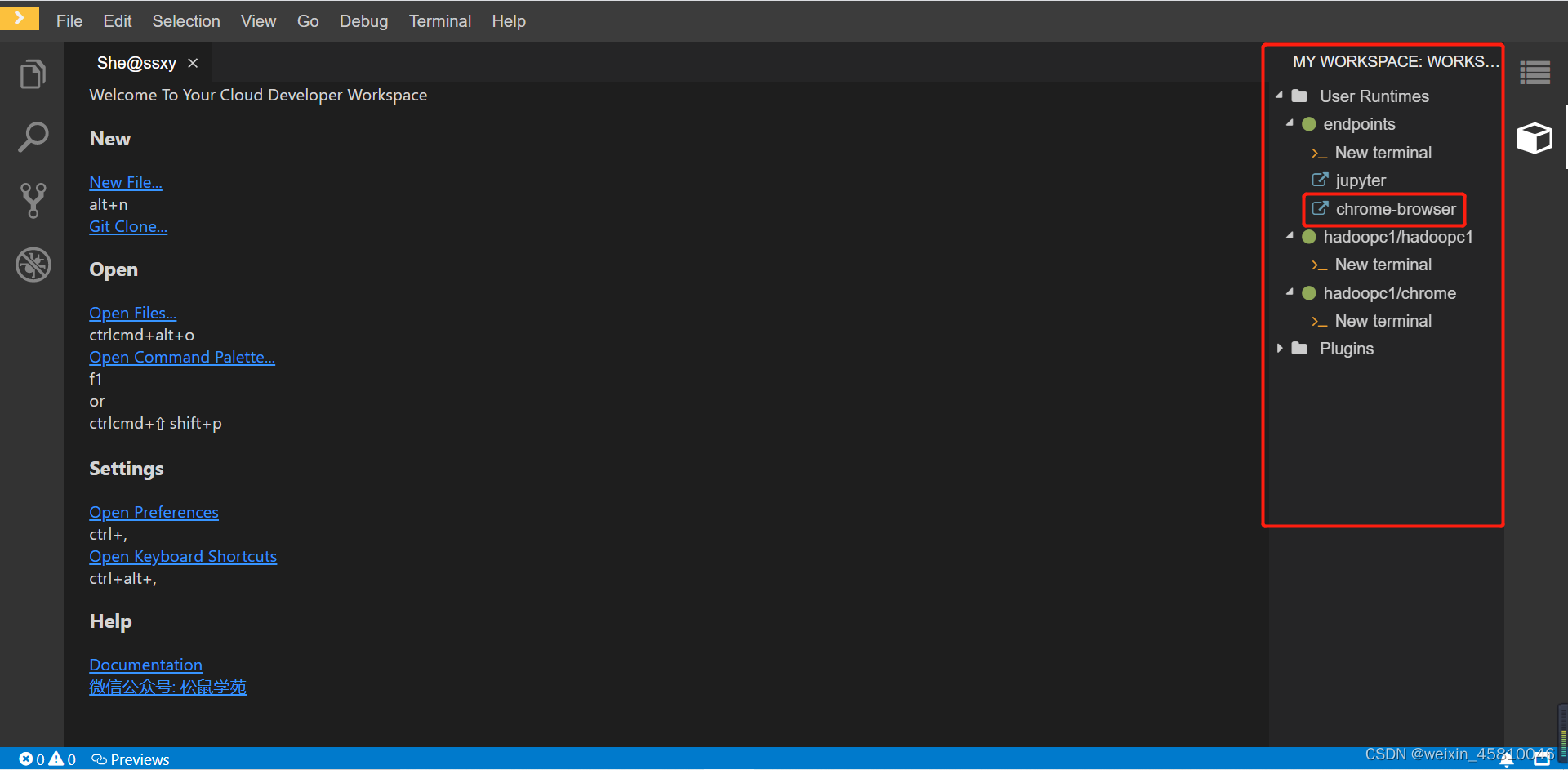 She平台使用手册_.she怎么使用-CSDN博客