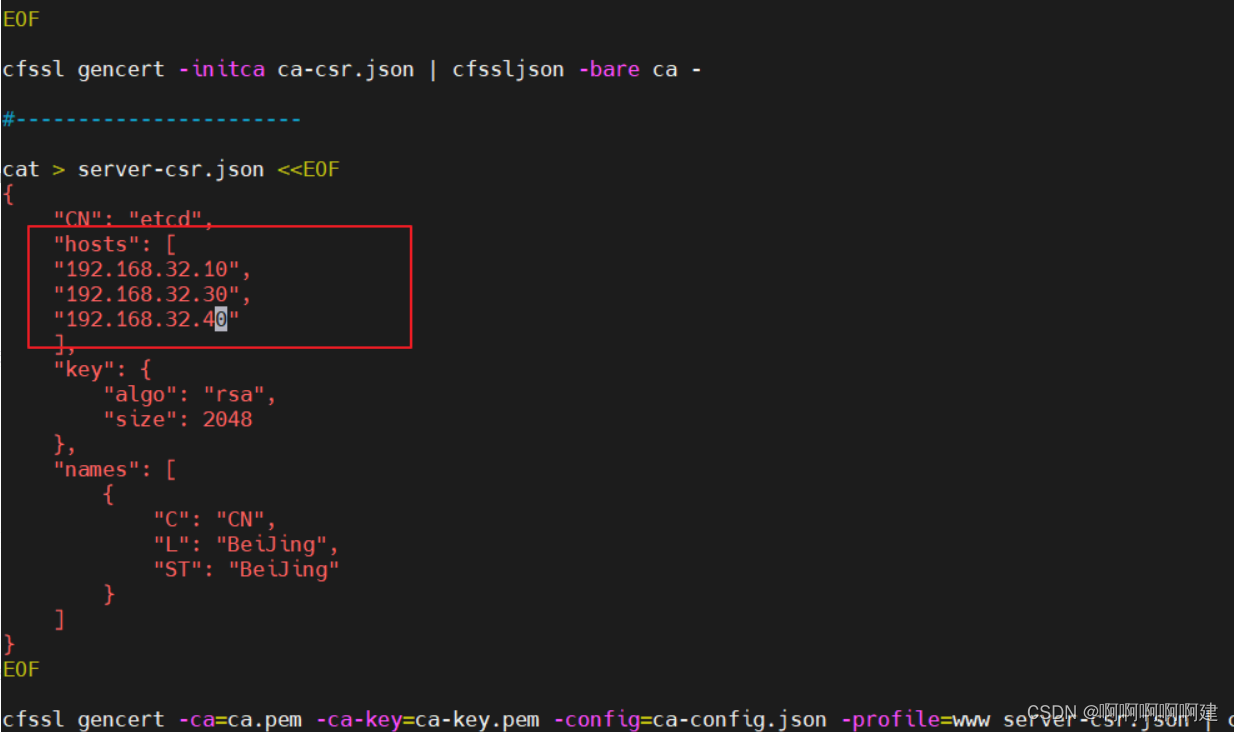 K8S二进制部署之定义CA证书与ETCD_etcd docker 部署ca证书-CSDN博客