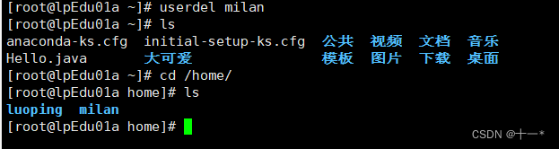 Linux中使用userdel删除用户时出现userdel: user XXX is currently used by process 3519处理办法_linux删除用户时被进程占用-CSDN博客