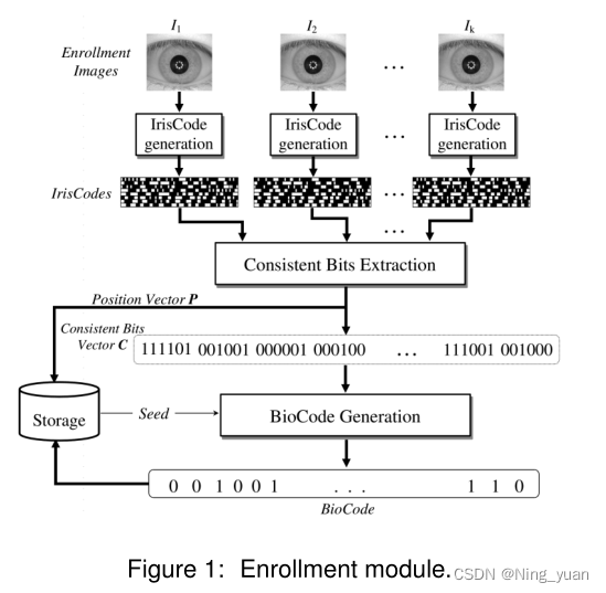 【论文阅读】Tokenless Cancelable Biometrics Scheme for Protecting IrisCodes-CSDN博客