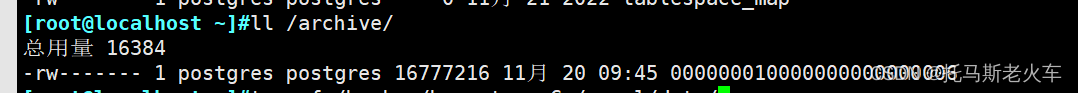 pg_basebackup 实现完全备份和还原-CSDN博客